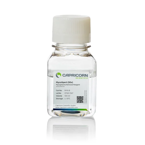 Mycoplasma Contamination in Cell Culture | Detection & Removal