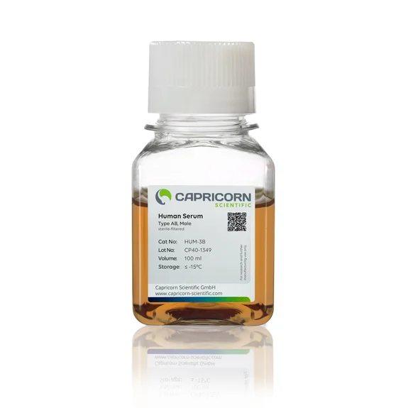 Human Serum in Cell Culture: Everything you need to know